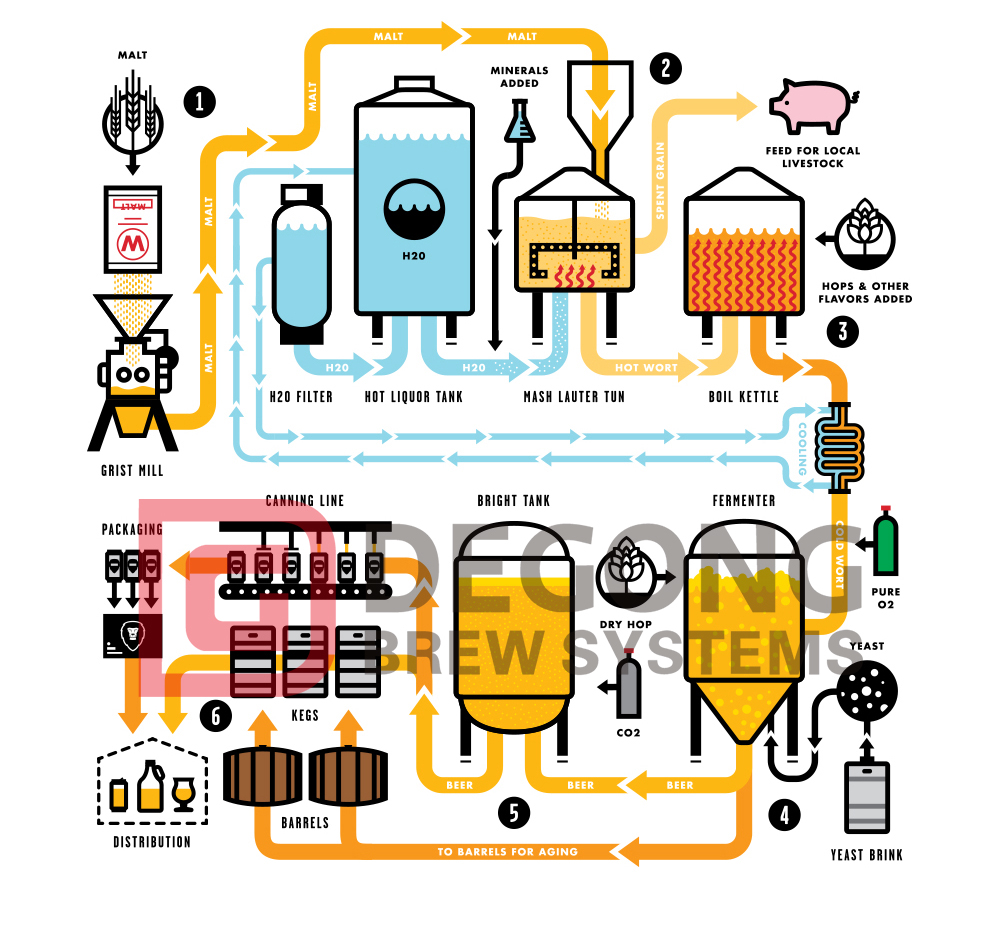 What are the steps involved in the beer brewing process? - DEGONG ...